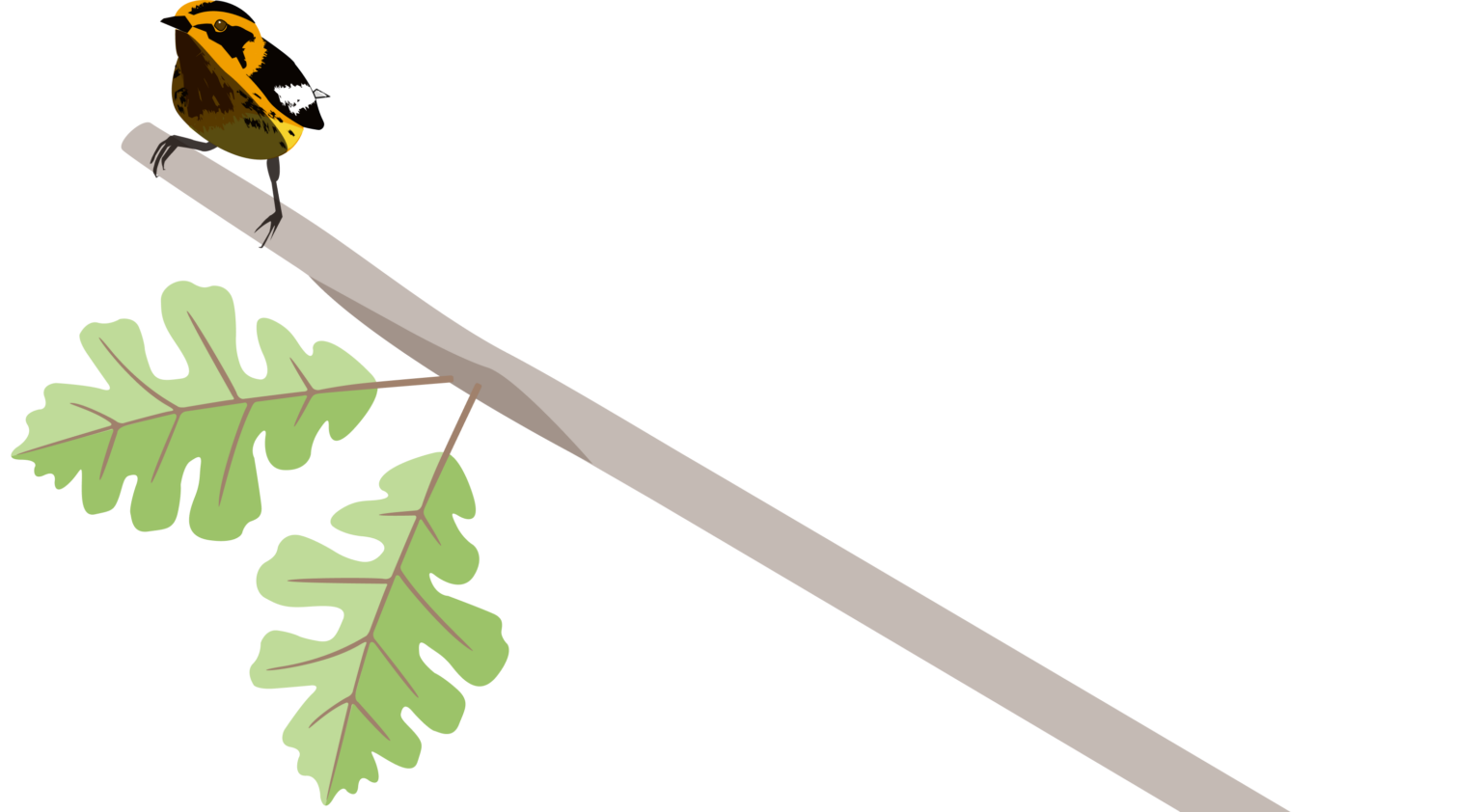 Home | Landscape Land Conservation Software